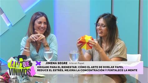 Origami Para El Bienestar Cómo El Arte De Doblar Papel Reduce El
