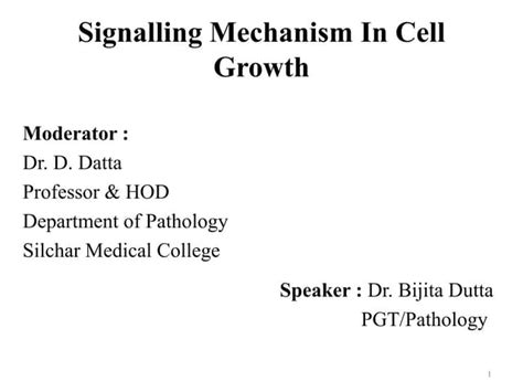 Tgf Beta Signalling Pathway Pptx