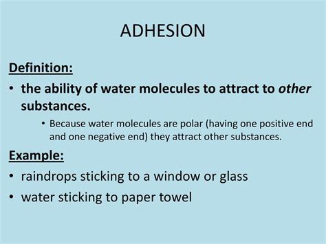 Adhesion Definition