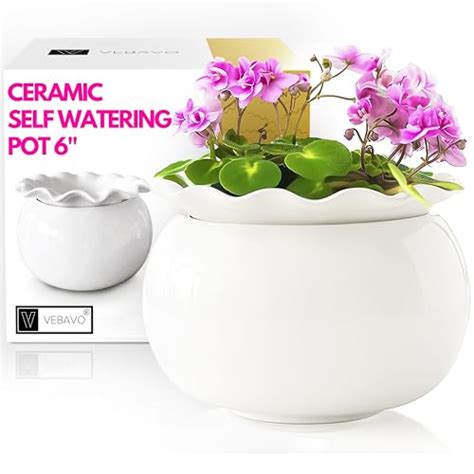 I Tested The Best African Violet Self Watering Pots Ceramic Pots That