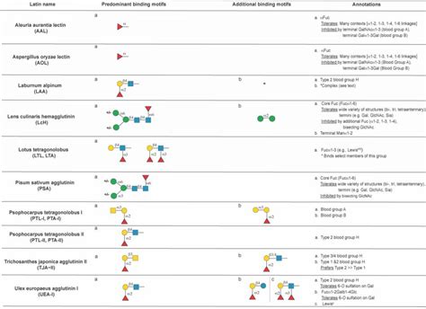 Lectin Microarrays Mahal Lab
