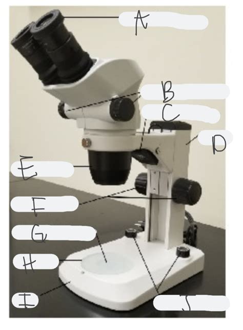 Bio Lab Dissecting Microscope Diagram Quizlet