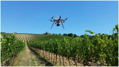 Clifford Geometric Algebra Based Approach For 3d Modeling Of Agricultural Images Acquired By Uavs