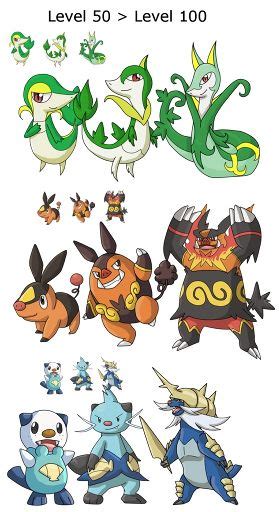 Pokemon Omega Ruby Starters