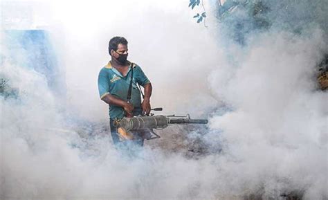 MP Dengue Case Tally Breaches Mark In Indore Experts Warn Locals To Maintain Cleanliness