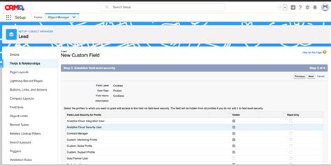 How To Create Picklist Fields In Salesforce Crmd Salesforce Consultants