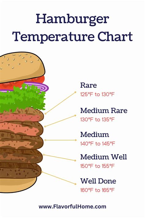 Burger Temp Chart Download Free Poster 55 Off