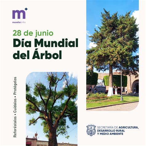En El Día Mundial Del Árbol Morelia Refrendan Acciones En Pro Del