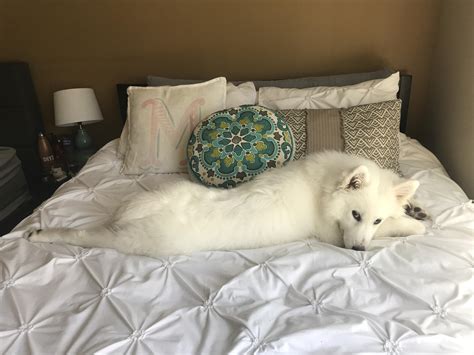 Draw Me Like One Of Your French Girls Raww