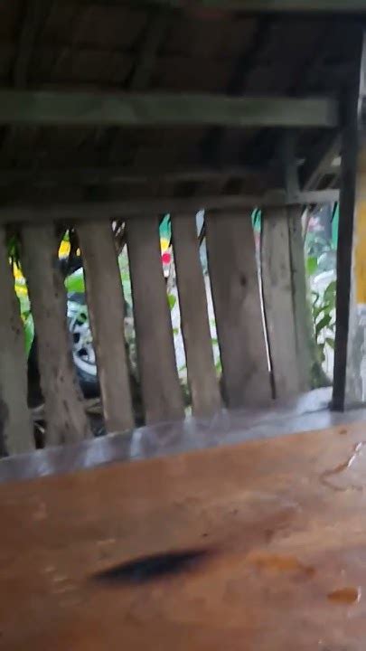 Tando Beach Infanta Quezon Youtube