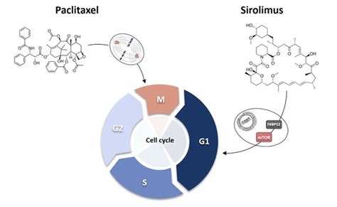 Paclitaxel Coated Versus Sirolimus Coated Eluti