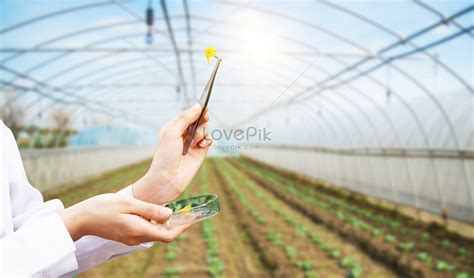 42000 농업 기술 영화 농업 기술 배경 재고 이미지 Lovepik