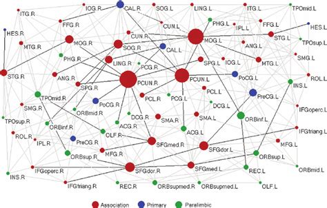 The Topological Map Of Human Cortical Network In The Map Nodes