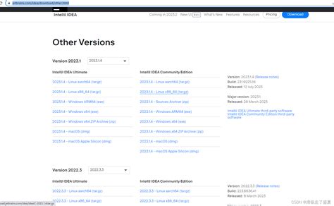 2023最新intellij Idea下载安装idea2023下载 Csdn博客