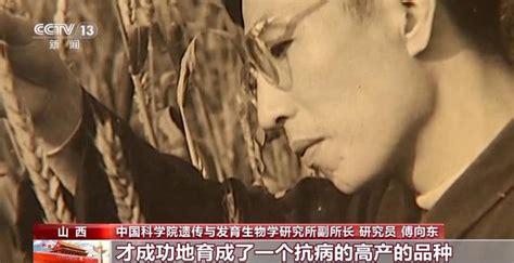 从靠天吃饭到育出好种子 中国的粮食耕基是这样筑成的 时刻 红网