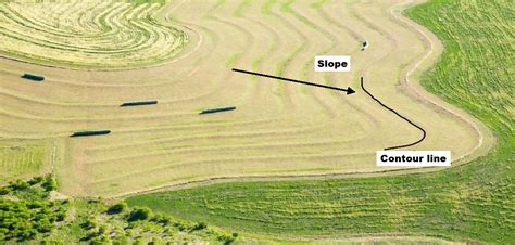 Bioturbation Dictionary Of Agroecology