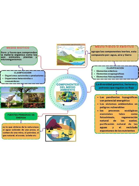 Componentes Del Medio Ambiente Pdf