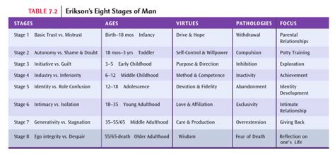 Erikson S 8 Stages Erik Erikson A Pioneering Psychologist Proposed A