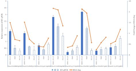 validation of rna seq results by rt qpcr relative expression of the
