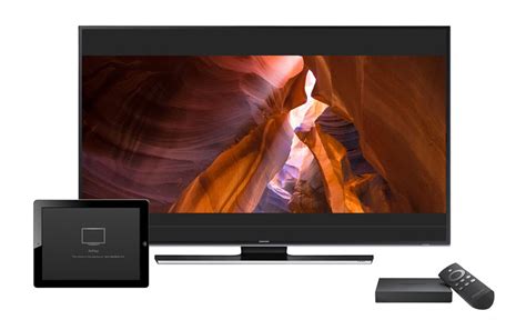 Squirrels Reflector At Trent Ragland Blog