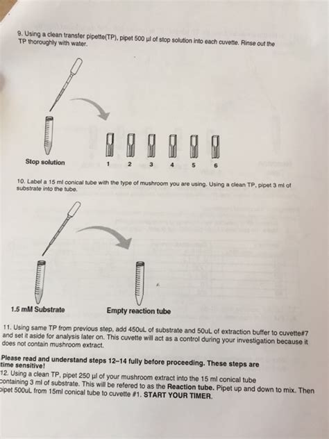 Solved Making Of P Nitrophenol Standards 1 2 Solution S5