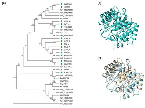 从极端高温环境中筛选到新型耐高温的木聚糖酶 知乎