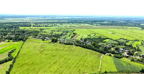 იყიდება მიწის ნაკვეთი სენაკი სამეგრელო ზემო სვანეთი