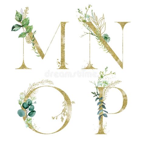 金花字母集 — 字母m、n、o、p及绿色植物枝花组合物 婚礼邀请的独特收藏 库存例证 插画 包括有 绿叶 花束 165343885