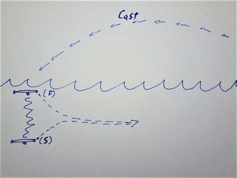 The Myth Behind Floating F And Sinking S Minnows