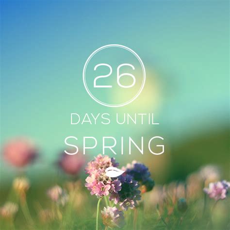 Spring Countdown Behance