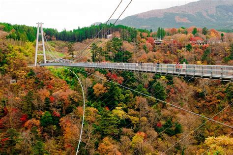 Kokonoe Yume Otsurihashi Bridge Mushroom Travel