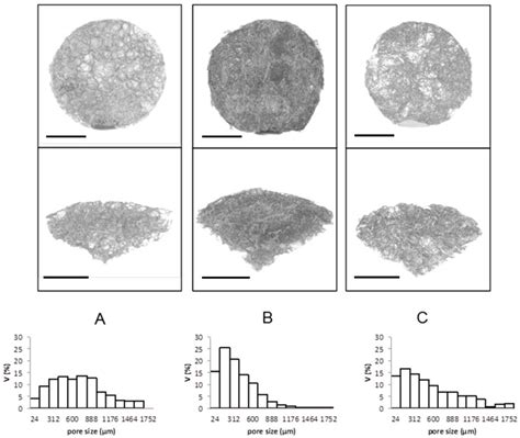 Polylactide Processed By A Foaming Method Using Compressed Freon R134a For Tissue Engineering