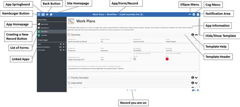 Working with a Record – Softools