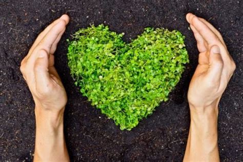 Día Mundial Del Suelo ¿por Qué Se Celebra El 5 De Diciembre Bioguia