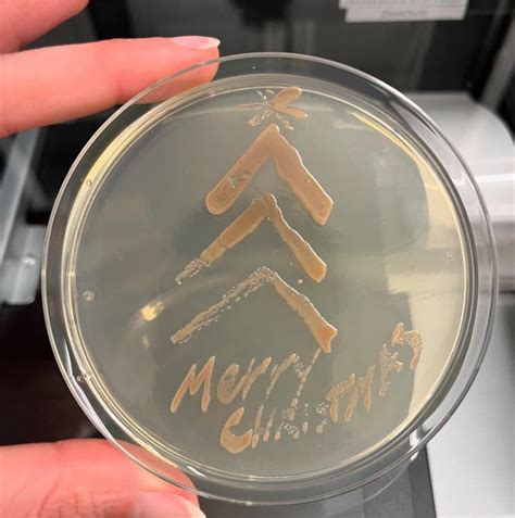 Arctech Archaea Microorganisms Microbiology Biotechnology Innovation Sustainability