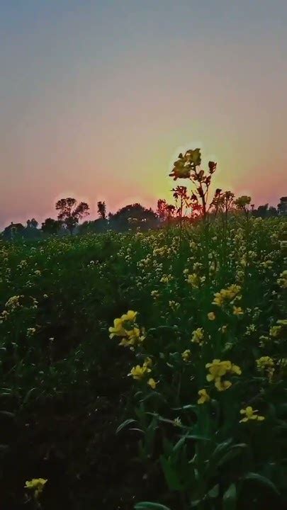 Tauba Meri Tauba ️ Mamta Sharma 🥰 Urvashi Rautela 💔 Sharad M 😳 Badash 😱