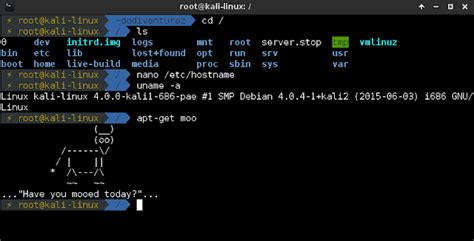 34 Perintah Dasar Linux Terlengkap Beserta Fungsinya Epic99