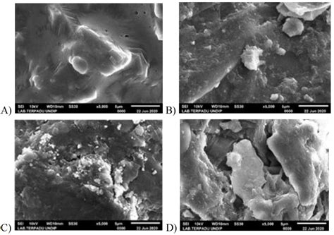 Freeze Drying Microencapsulation Of Turmeric Curcuma Longa L Using An Amorphous Matrix Of