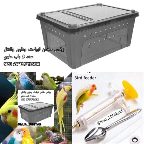 ابر غر للطيور و حضانه للفروخ سوق عُمانيستا 2026