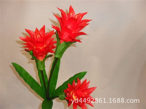 代表成功的花的图片 成的花 成的花配图 大山谷图库