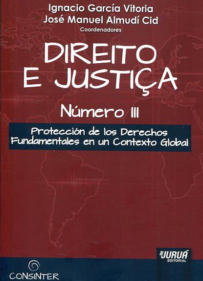 Libro Protección De Los Derechos Fundamentales En Un Contexto Global