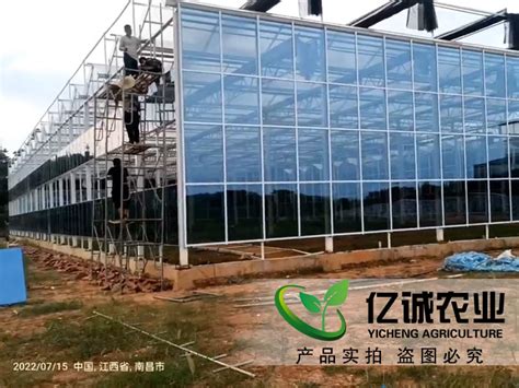温室大棚建设图片 温室工程客户案例青州市亿诚农业科技