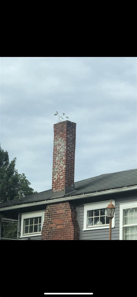 Found A Korok R Botw Memes