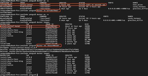 Docker最简教程 荒野之萍