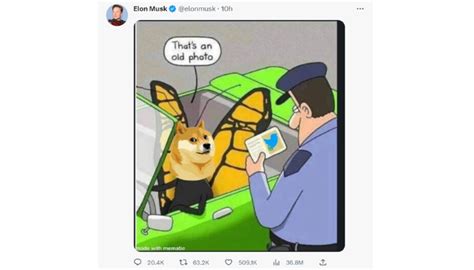 Musk Replaces Twitters Blue Bird Logo With Doge Meme I Times Of Oman