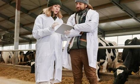 Hcltech And Databricks Partnership Hcltech