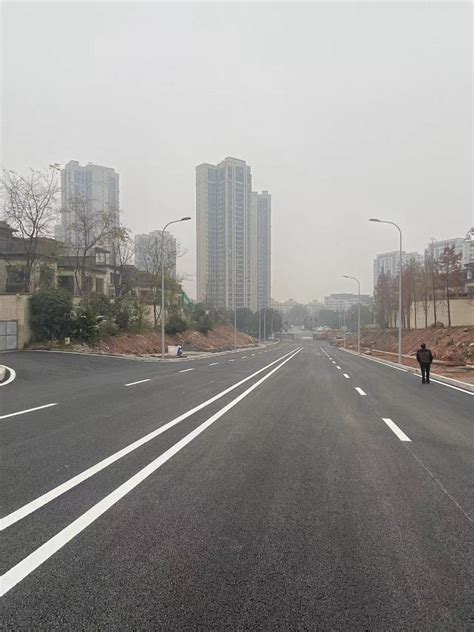 蔡家金科美院市政道路双实线问题 重庆网络问政平台