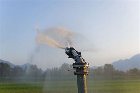 How To Winterize Sprinkler System An Easy Diy Guide