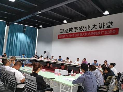 四川省小麦重大技术协同推广项目现场观摩会成功举行 四川农业大学国家级作物科学实验教学示范中心