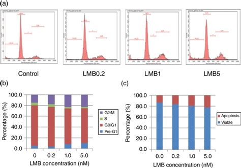 6 Effects Of Leptomycin B Lmb On Cell Cycle And Apoptosis In A549 Download Scientific Diagram